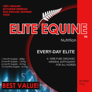 Elite Equine Every-Day Elite – Taupo Equestrian Supplies