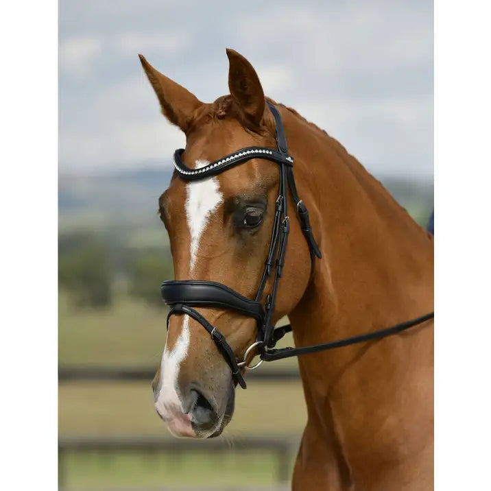 Collegiate ComFiTec Opulux Padded Dressage Bridle – Taupo Equestrian ...