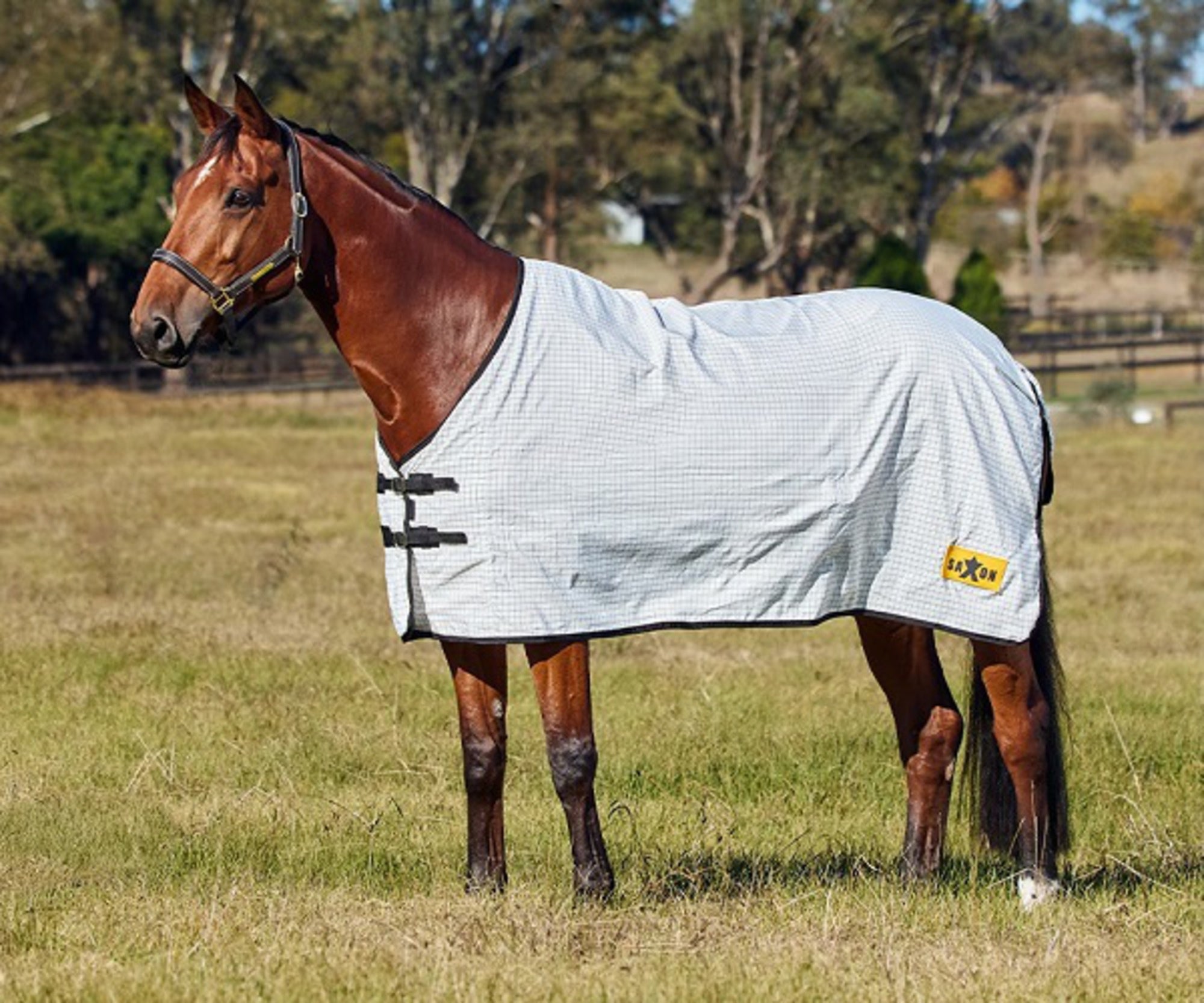 Saxon Kool Coat Classic Lite Standard Neck Sheet – Taupo Equestrian ...