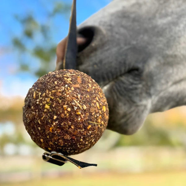 Health Horse Stay Ball – Taupo Equestrian Supplies