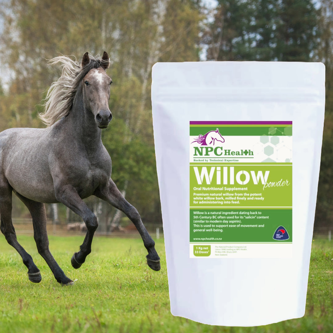NPC Willow Powder 1kg – Taupo Equestrian Supplies