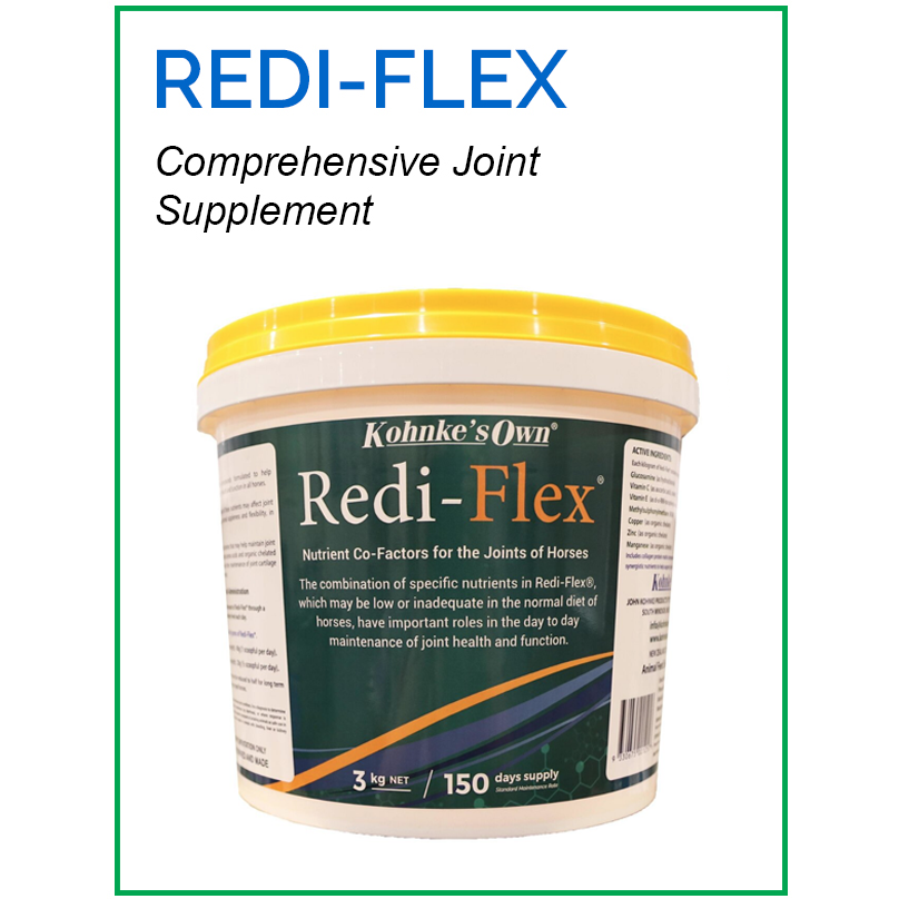 Kohnkes Own Redi-Flex – Taupo Equestrian Supplies